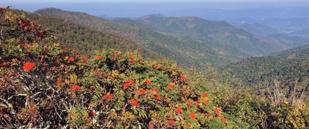 Women Only Tours: U.S. National Parks | Grand Canyon, Glacier NP, & More