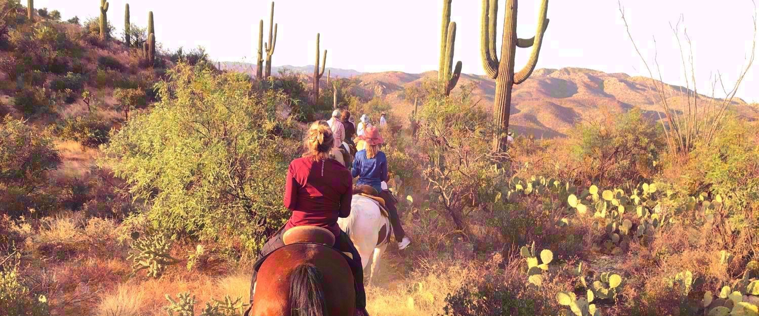 Arizona Sonoran Desert Ranch Retreat
