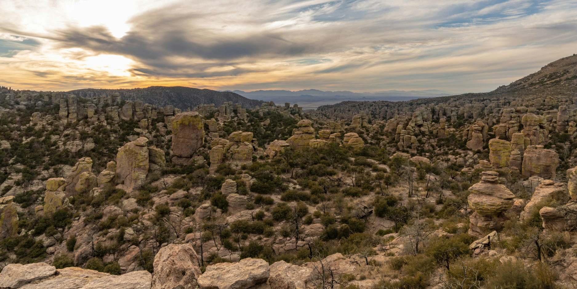 Birding in Southern Arizona | Adventures in Good Company