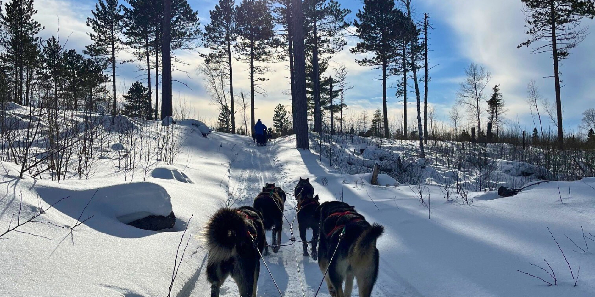 Dog Sledding Adventures: History, How It Works, and Why You’ll Love It