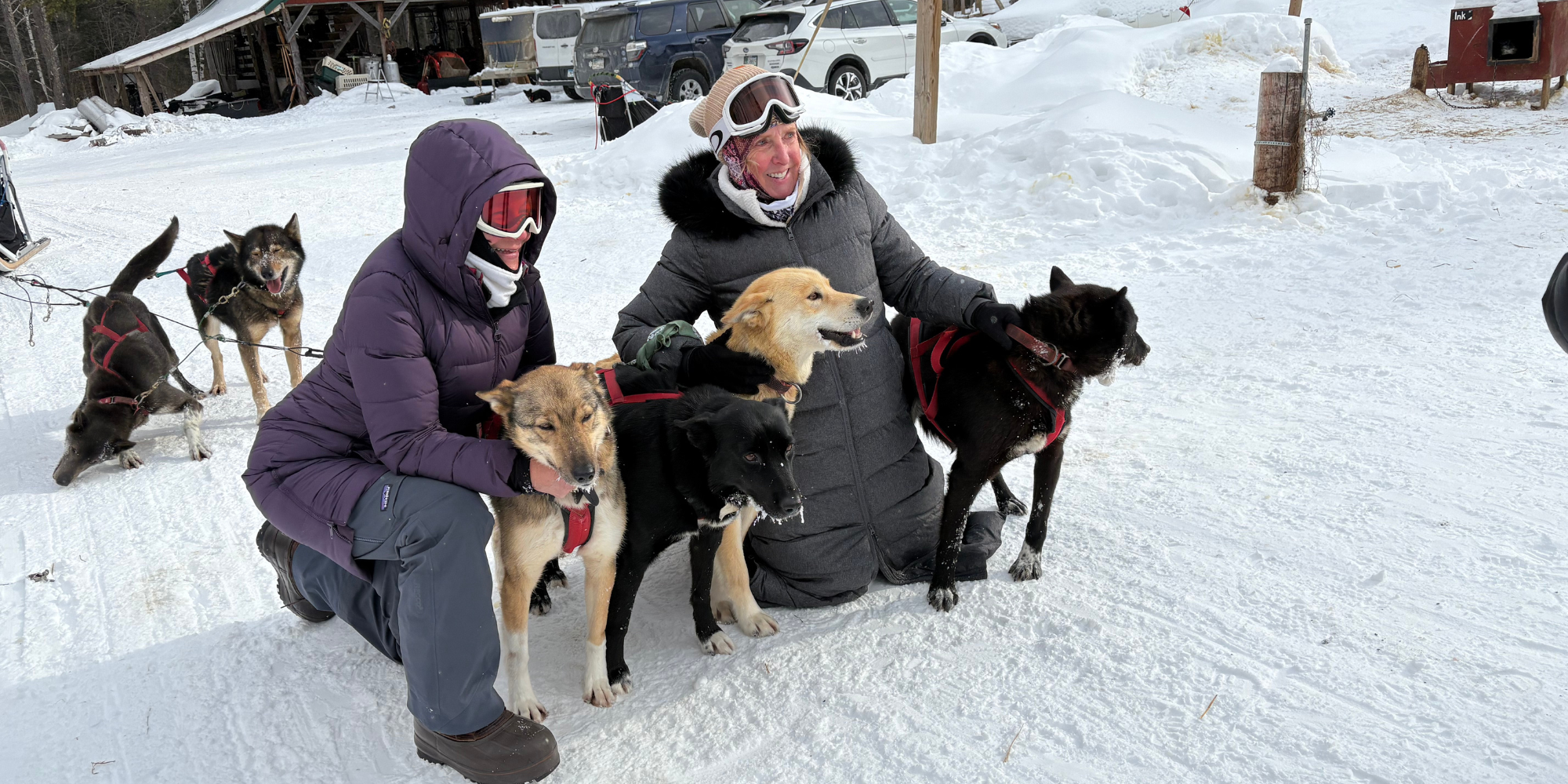 Dog Sledding Adventures: History, How It Works, and Why You’ll Love It