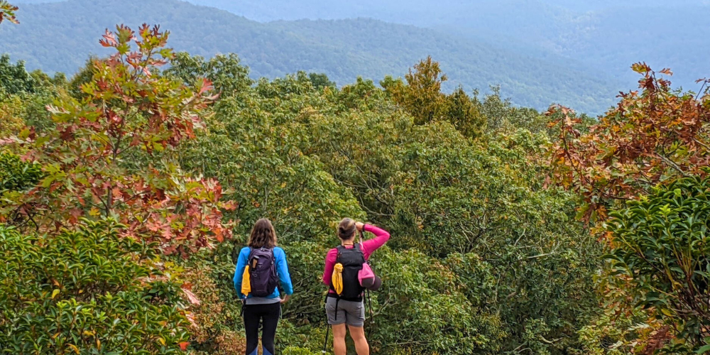 Indigenous Histories of U.S. National Forests